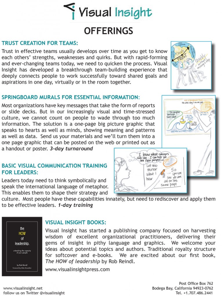 Powering Group Imagination with New Visual Tools – Visual Insight